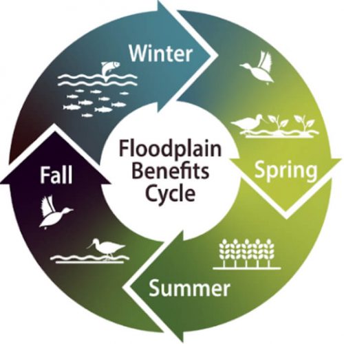 Program Overview - Floodplains Reimagined